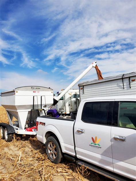 Sorghum Harvest Aids Sorghum Partners Agronomy