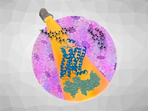 Angewandte Chemie 49 2023 Frameworks Chemistryviews