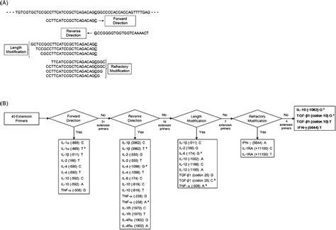 Principle Of Design And Strategies For Optimal Selection On Extension Download Scientific