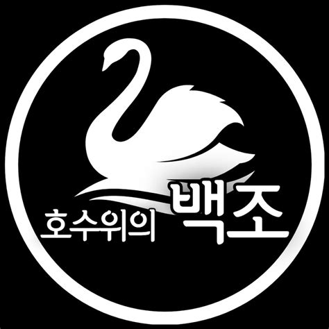 호수위의백조 Youtube