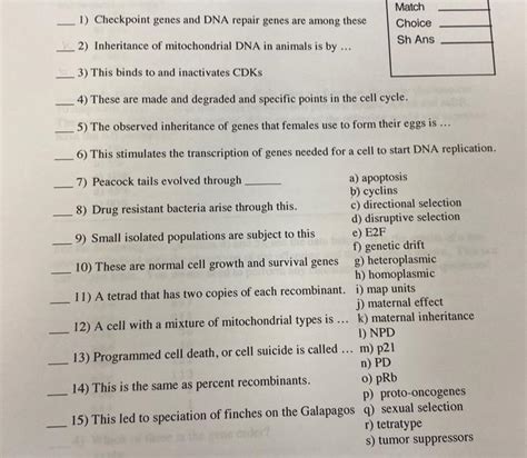 Solved 1 Checkpoint Genes And DNA Repair Genes Are Among Chegg