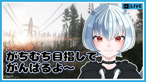 Eft 】スナイパータスクをこなして一流スナイパーになる！！ 7 【 タルコフ 】 Youtube