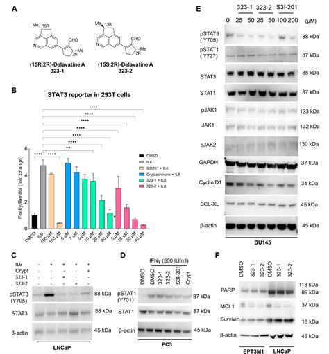Figure 1 From Novel Stat3 Inhibitors Targeting Stat3 Dimerization By