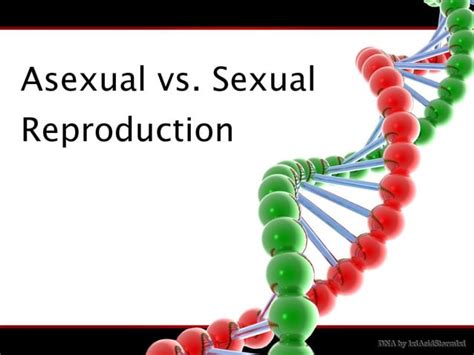 Asexual Vs Sexual Reproduction Ppt
