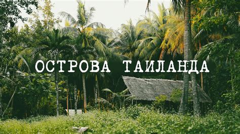 РАЙСКИЙ ПЛЯЖ или ЛОВУШКА ДЛЯ ТУРИСТОВ? Круиз по островам Тайланда. Что ...