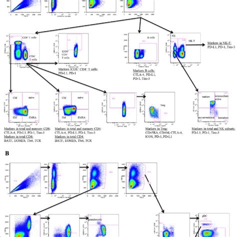 Adcc Assay Using Pbmc From Healthy Donors Or H441 Human Lung Tumor Download Scientific Diagram