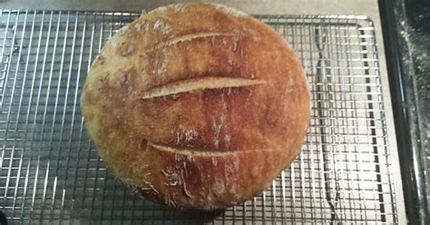 Sourdough Album On Imgur