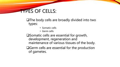 Human Cell Structure And Clinical Anatomy Pptx