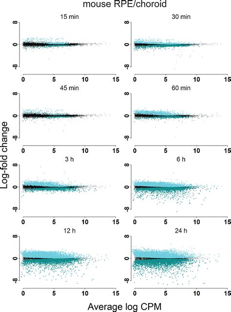 Post Mortem Analysis Of Gene Expression In Mouse Rpechoroid
