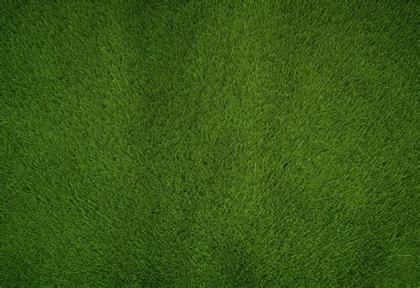 La Textura De La Hierba Verde Del Día Soleado Foto Premium