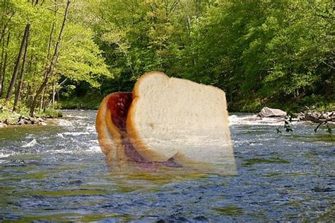 Wet Sandwich Rrhcpcirclejerk