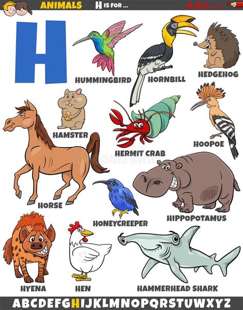 Cartoni Animati Per La Lettera H Set Educativo Illustrazione Vettoriale