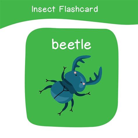 Insect Trivia Vectors And Illustrations For Free Download
