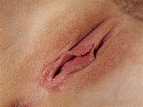 Nice Pussy Carovago