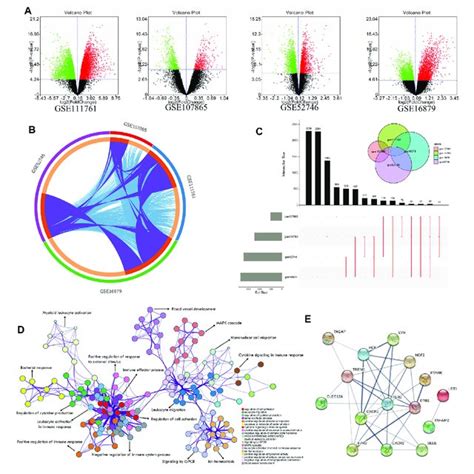 Exploration Of Differentially Expressed Gene Network Between Anti Tnf