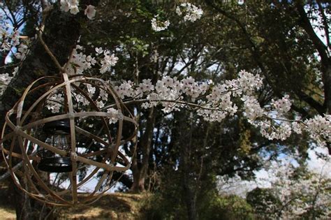 九ちゃんの山歩絵日記 午後の垣生公園