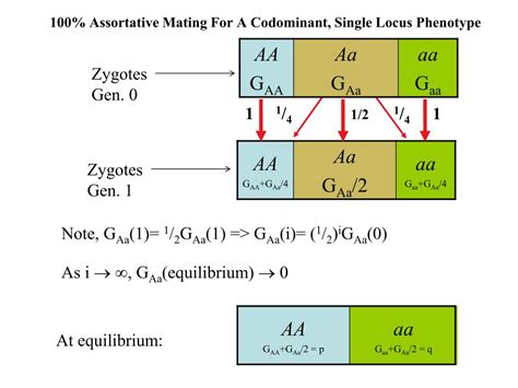 Ppt Systems Of Mating Powerpoint Presentation Free Download Id3355978