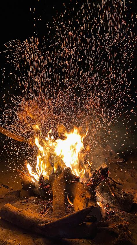 가족 모임 계절 광야 광야 캠프파이어 나무 담배를 피우다 뒤뜰 따뜻함 러스틱 모닥불 모임 모험 밤 별빛 아래에서 불 불꽃 불씨 불타는 통나무