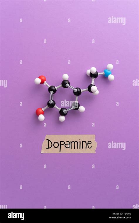 Dopamine Chemical Formula Science Symbol Hi Res Stock Photography And