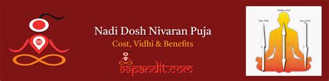 Pandit For Nadi Dosh Nivaran Puja Cost Vidhi And Benefits 99pandit