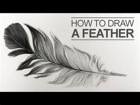Feather Drawing At PaintingValley Com Explore Collection Of Feather Drawing