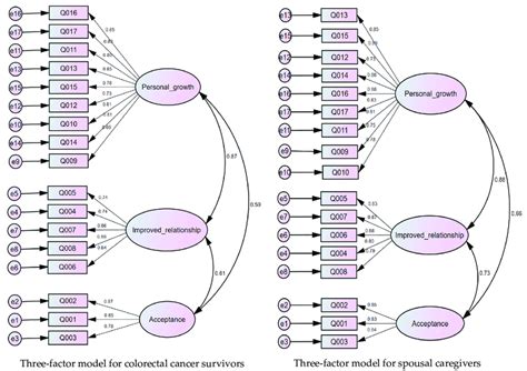 Bfs C Structure Model With Standardized Path Coefficients For
