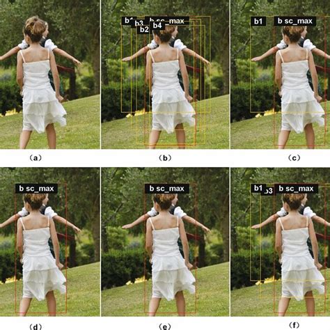 Comparison Of Both Nms And Diag Nms Effects In A Crowded Environment A Download Scientific