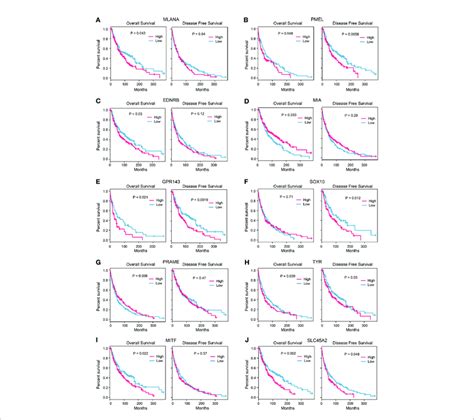 Survival Analysis Of Candidate Genes Correlation Between The