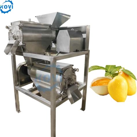 Fruit Pulp Juice Making Machine High Quality Fruit Pulp Extraction Machine Mango Processing
