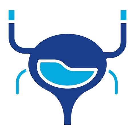 Premium Vector Bladder Flat Illustration