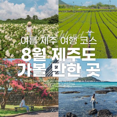 8월 제주도 가볼 만한 곳 서쪽 위주 맛집 포함 사진 찍기 좋은 핫플 여행 코스🌿 네이버 블로그