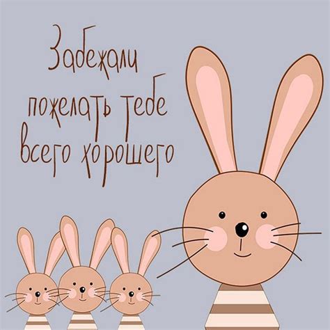 Тебе всего хорошего Смешные открытки Счастливые картинки Смешные поздравительные открытки