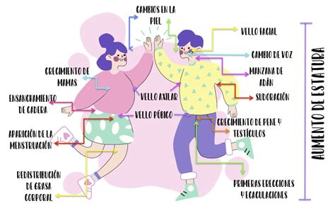 Top 137 Imagenes De Los Cambios Fisicos En La Adolesc
