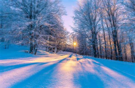 This Winter A Z Quiz Is Melting Minds—are You Up For It