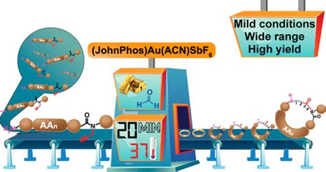通过金（i）介导的连续 C N、c O 和 C C 键形成的炔丙基化肽的高效环化方法acs Central Science X Mol