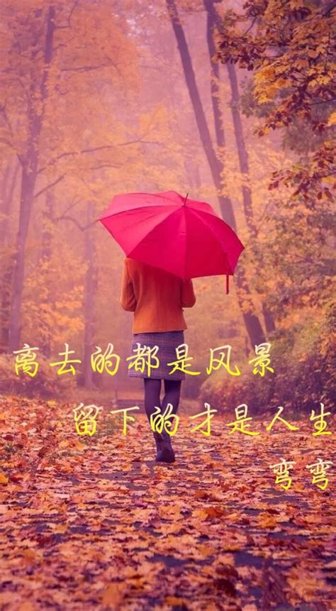 情感语录 风景 情感语录 壁纸 伤感说说吧