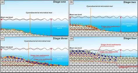 Limestone Formation Process