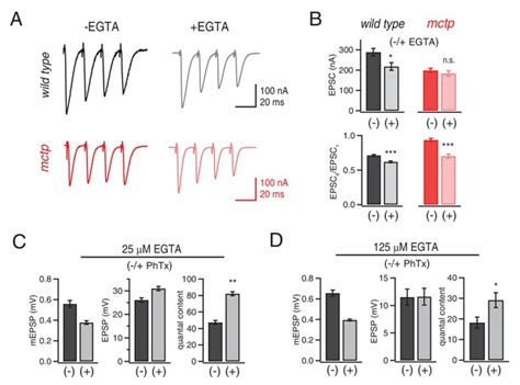 Mctp Is An Er Resident Calcium Sensor That Stabilizes Synaptic