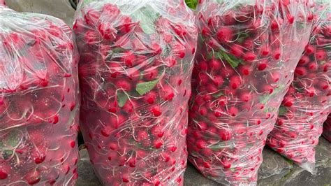 Ціни у Львові на Ринку 21 березня овочі фрукти саджанці і квіти