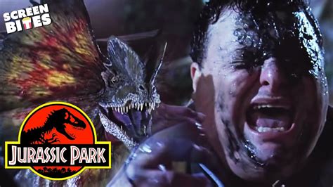 Salvaschermo Jurassic Park Wayne Knight