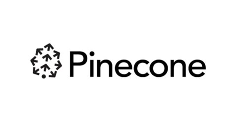 Integrating The Pinecone Vector Database With Net Applications
