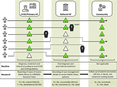 Schematic Representation Of Possible Points Of Contact In The Patient Download Scientific
