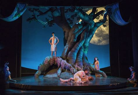 My Set Design For A Midsummer Nights Dream At Trinity Shakespeare Fort