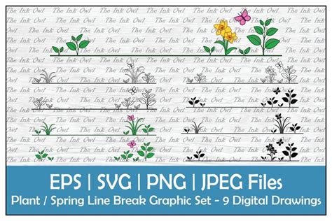 spring flower and nature border line break divider