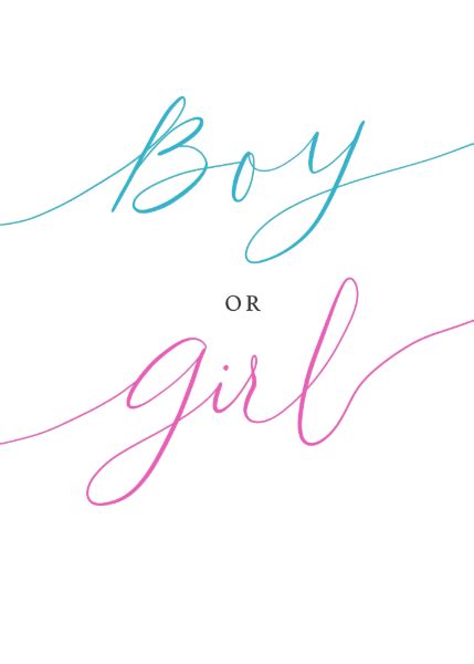 Sign In Boy Or Girl Sign Gender Party Girl Gender Reveal
