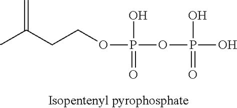 Isopentenyl Pyrophosphate Alchetron The Free Social Encyclopedia