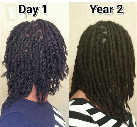 Two Strand Twist Locs Journey