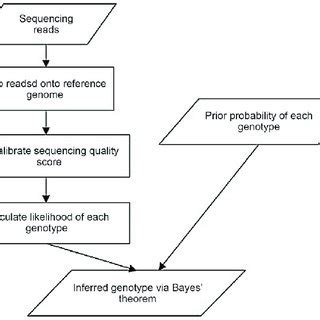 Pipeline Of SNP Calling The SNPs Can Be Identified On The Consensus Download Scientific