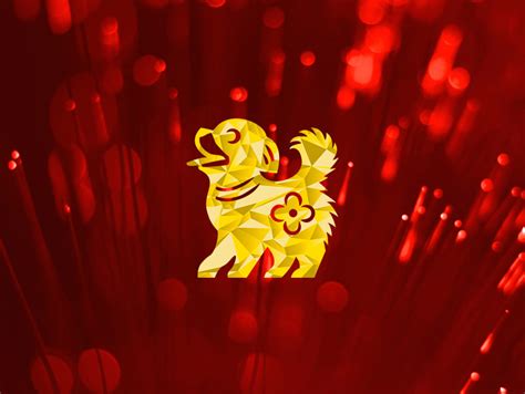 Horóscopo Chinês As Características Do Signo De Cão Wemystic Brasil