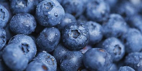 Phyllis Raynor Raynorphyllis Twitter